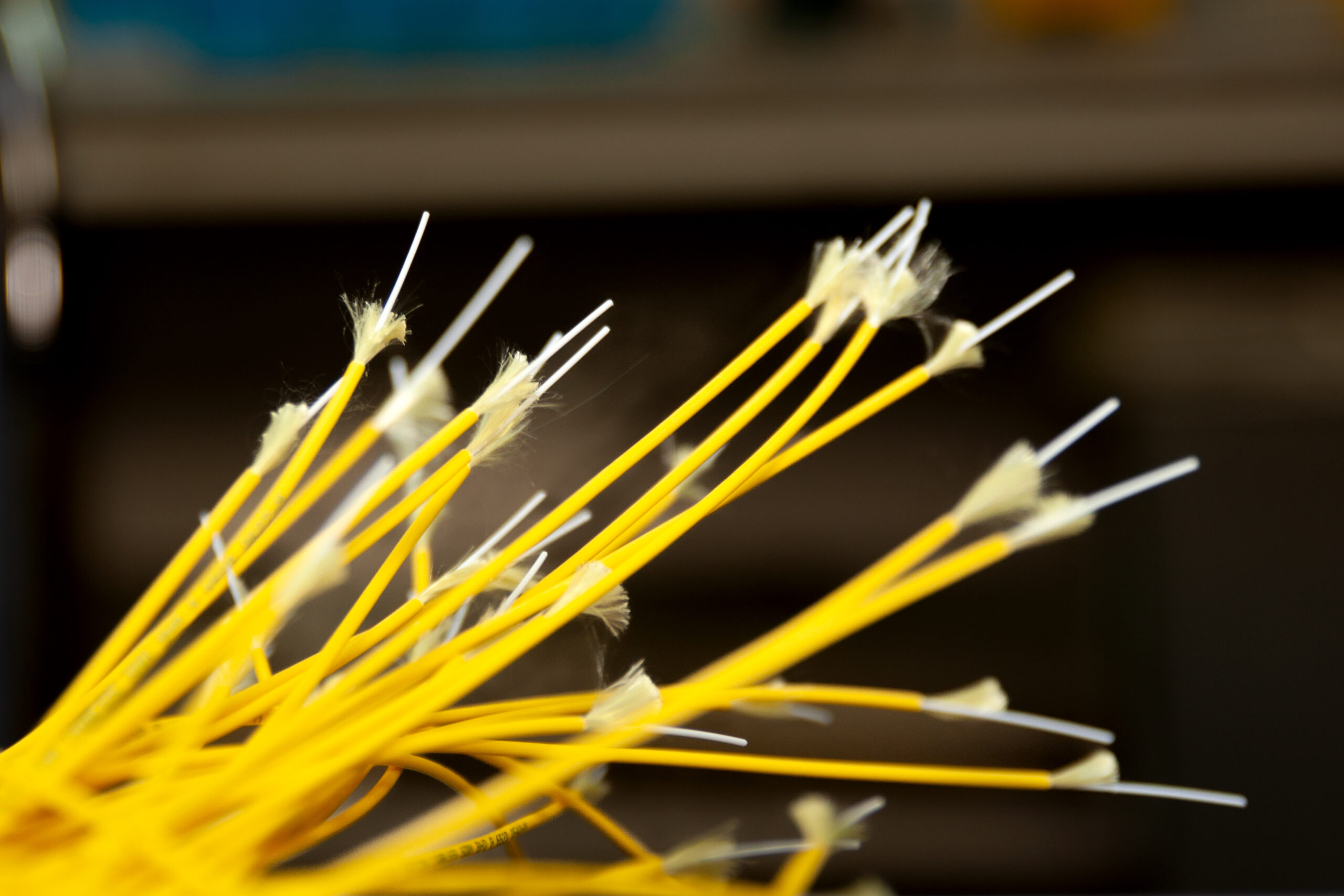 Morocco Orders Telecom Operators to Share Fiber Networks Under Landmark ...