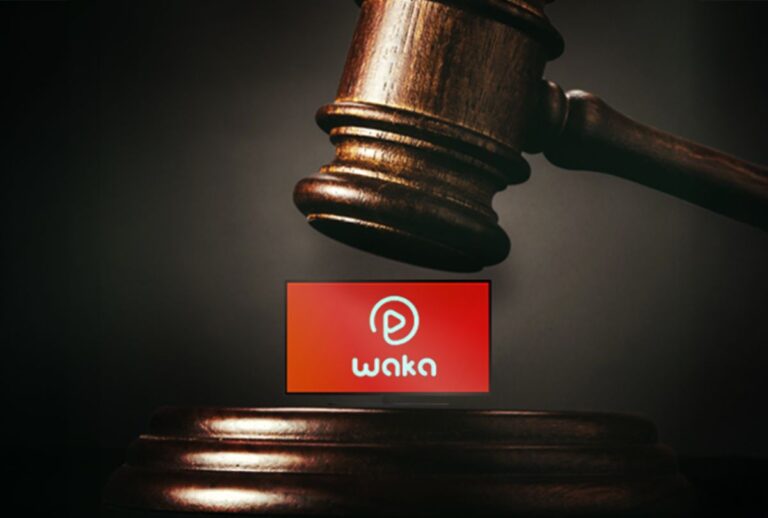 Waka TV Reseller Convicted in South Africa’s Crackdown on Streaming ...