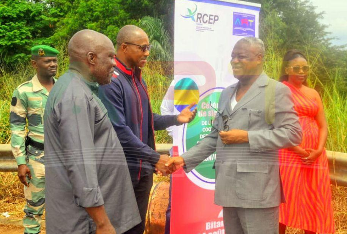 Cameroon and Gabon Regulators Sign Agreement to Improve Mobile Services ...