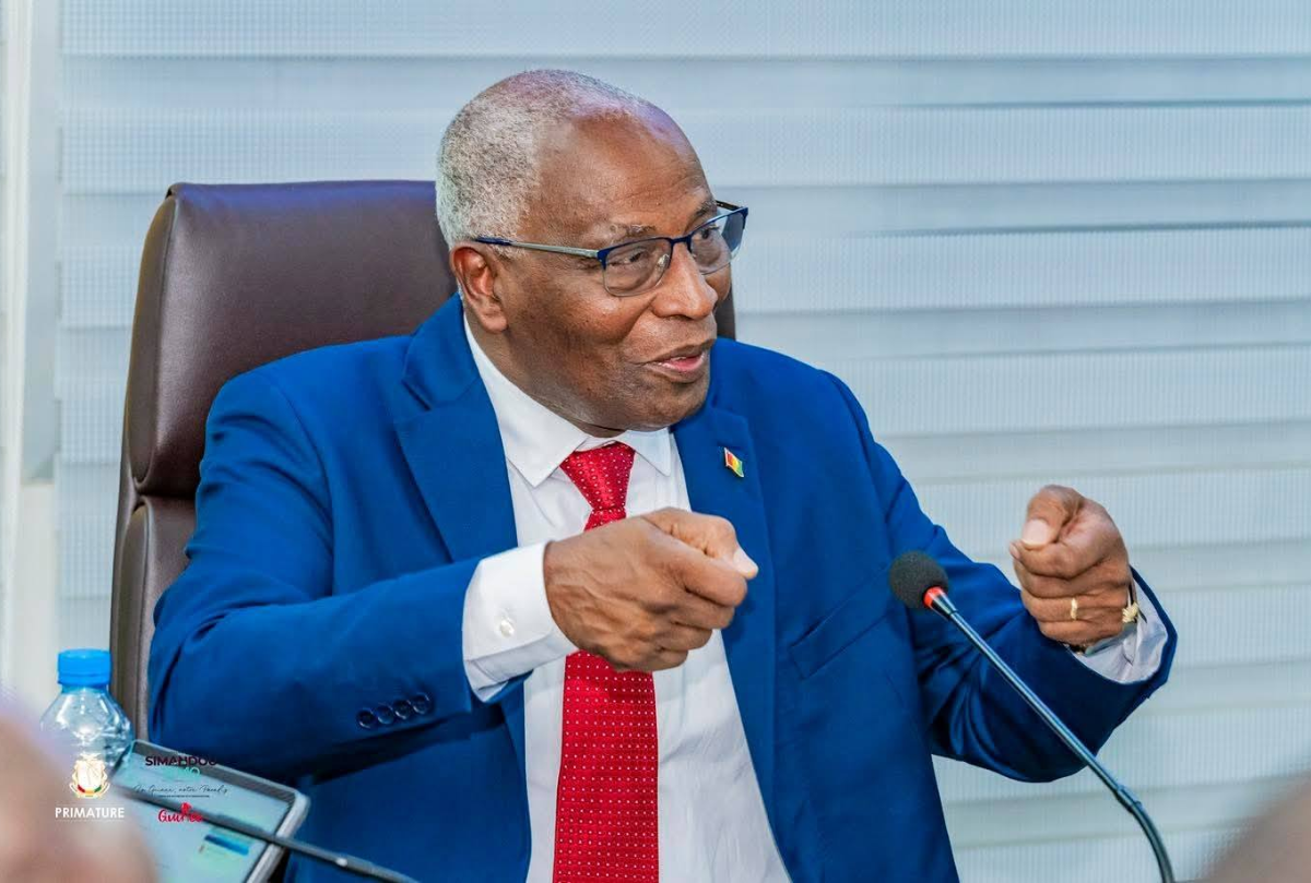 Guinea’s TELEMO Project Achieves Over 90% Operational Milestone ...