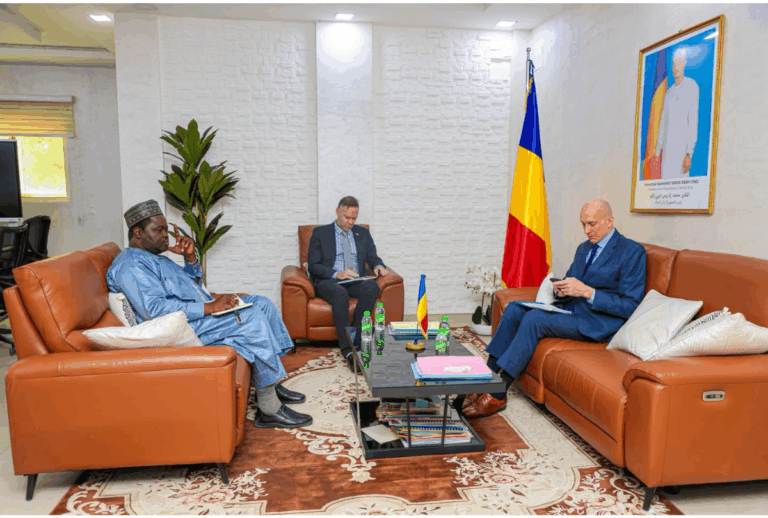 Chad and U.S. Explore Greater Cooperation in Telecommunications and Digitalization - TechAfrica News