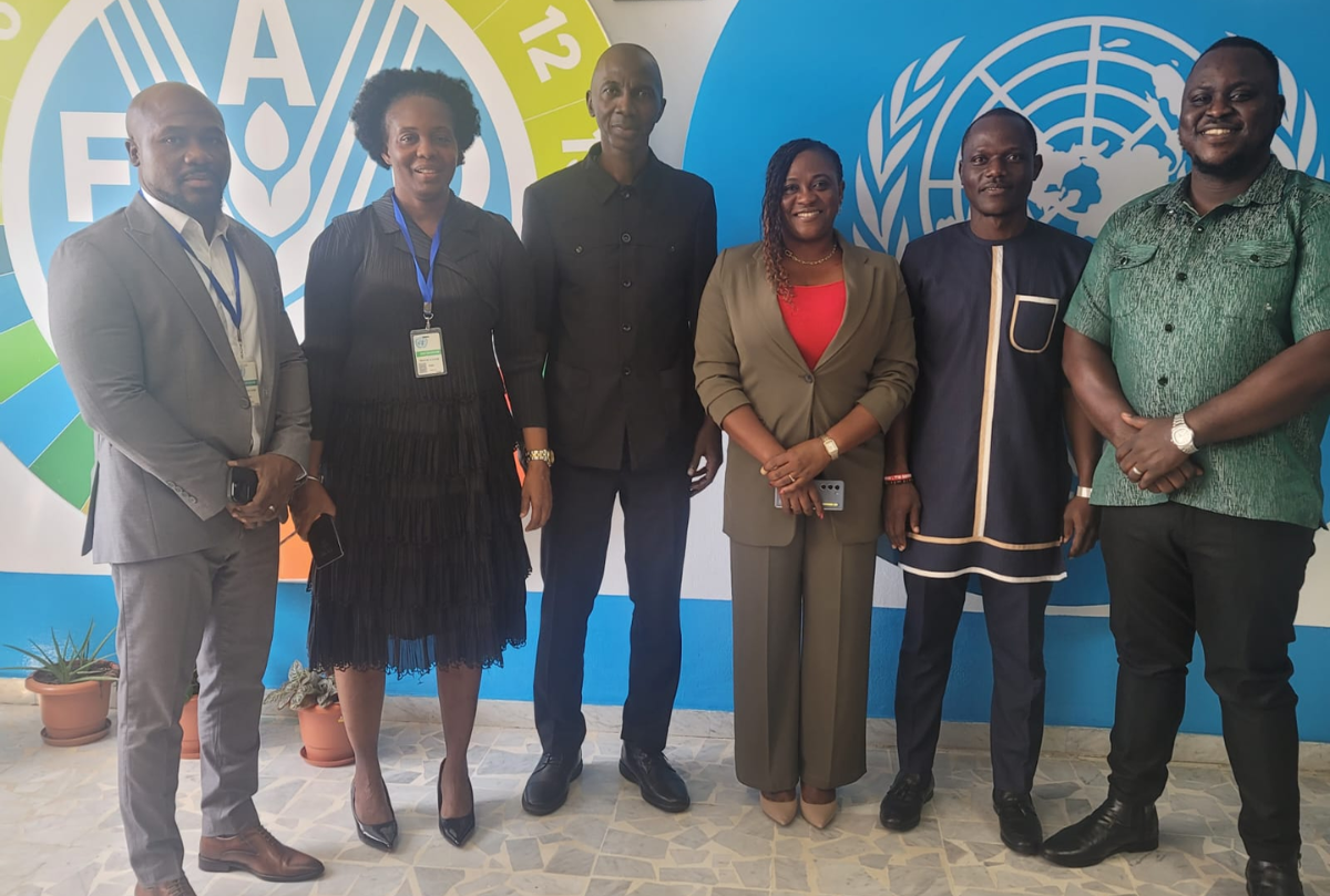 Liberia Advances Digital Inclusion with Smart Village Initiative ...